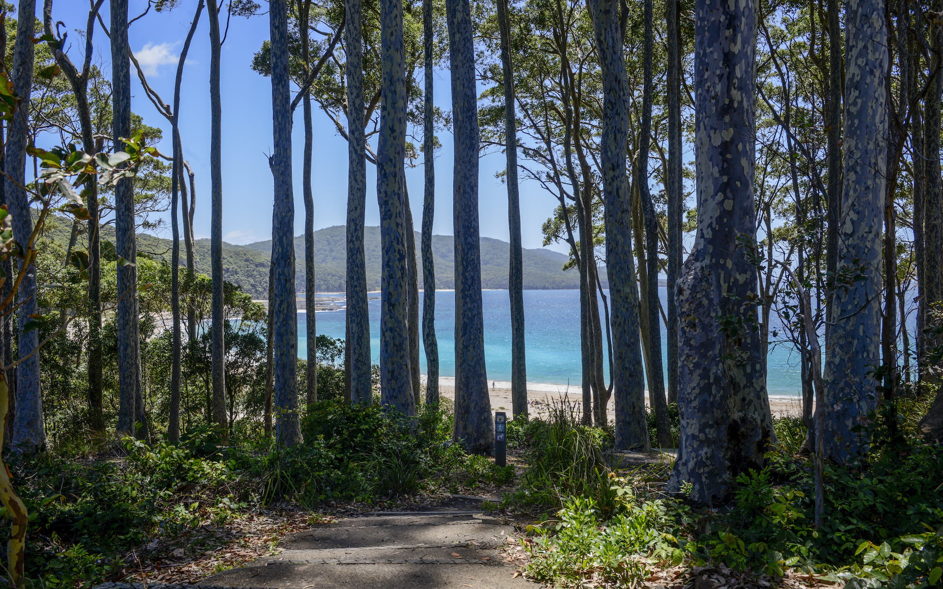 Murramarang South Coast Walk (34km) | Visit South Shoalhaven